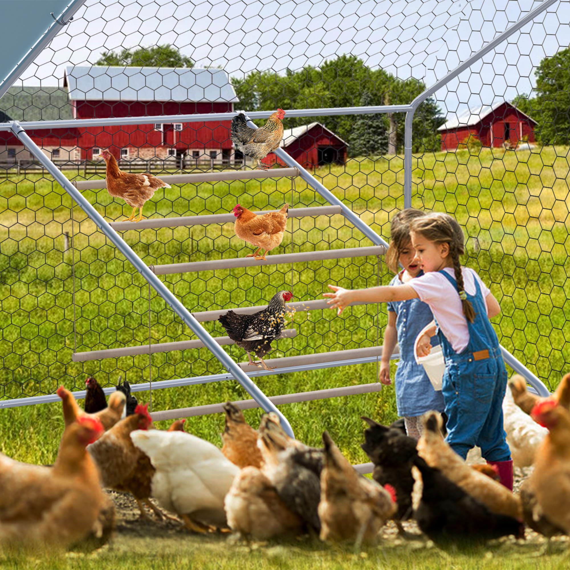 Gracie Oaks Chicken Coop Perches With Chicken Coop Swing, Chicken Perch ...