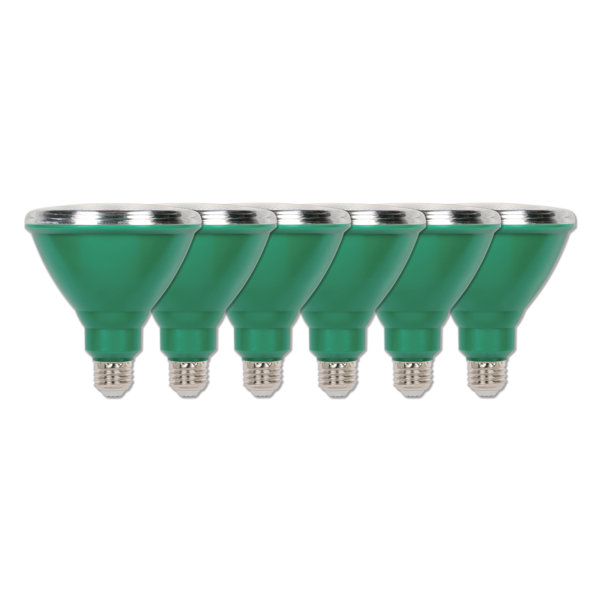 Westinghouse Lighting 15 Watt (100 Watt Equivalent), PAR38 LED, 6-Pack ...