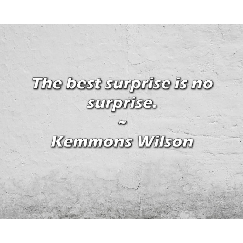 Trinx Kemmons Wilson Quote: The best surprise is no surprise. | Wayfair