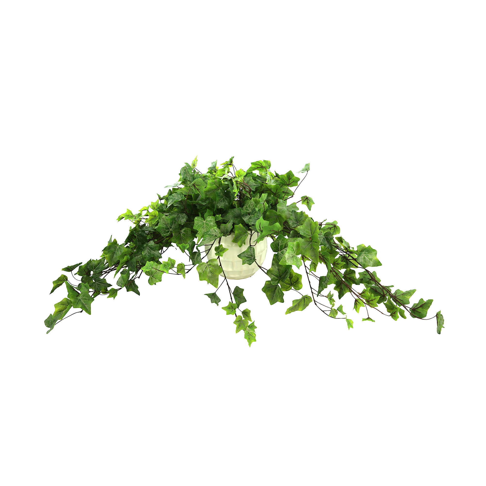 Creative Displays, Inc. Organic Modern Frosted Ivy in Ceramic Pot ...