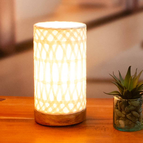Eangee Home Design Cylinder Night Light & Reviews | Wayfair