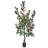 Primrue 5' Potted Mandarin Orange Tree - Wayfair Canada