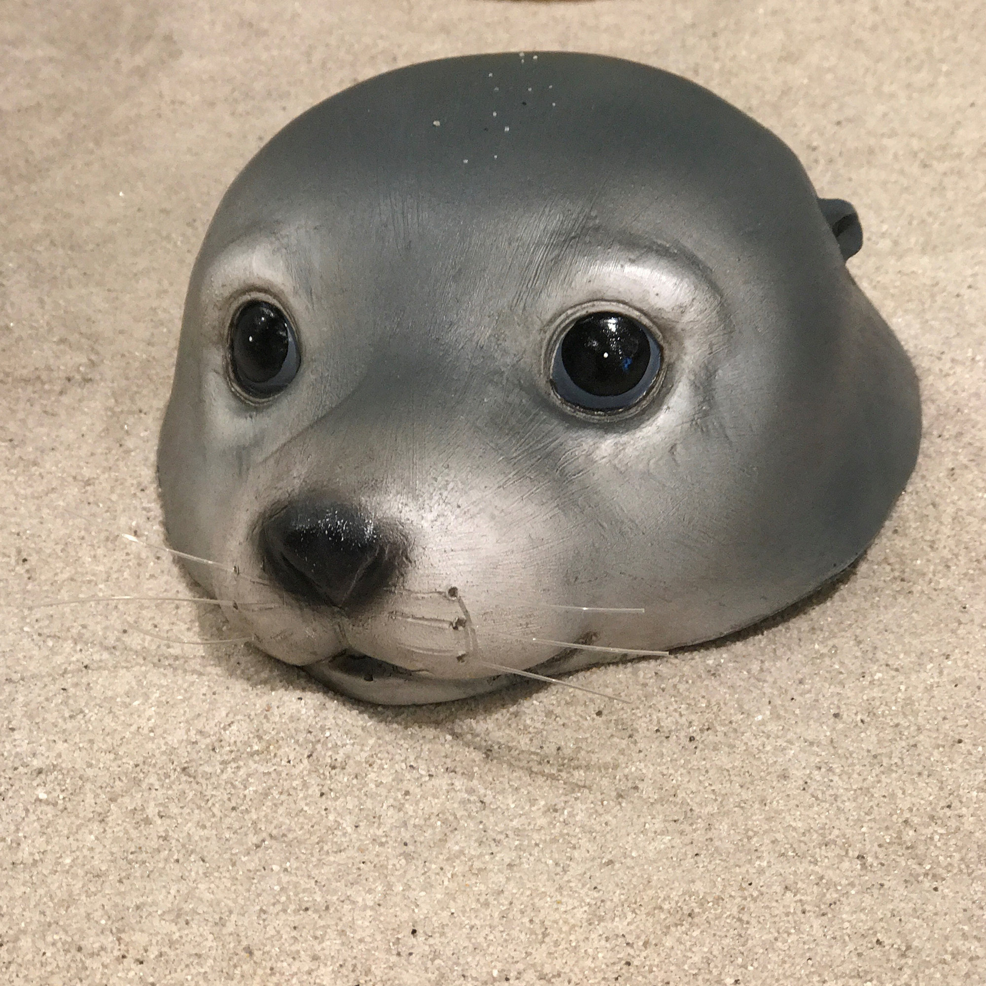 Arlmont & Co. Floating Baby Seal Head | Wayfair