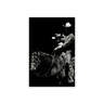 Union Rustic Scratchboard Rodeo II On Plastic/Acrylic by Julie T ...