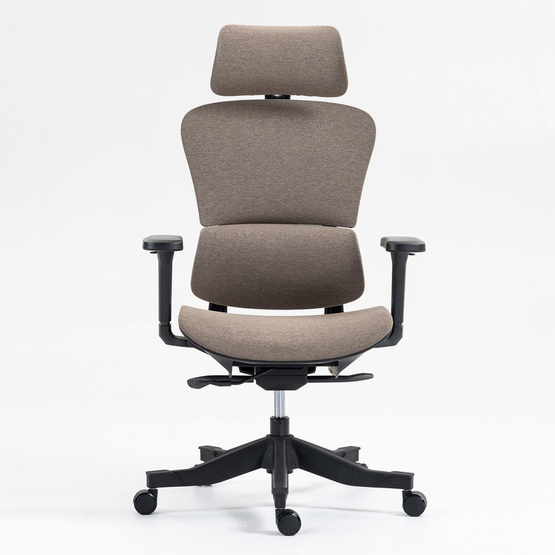 Brayden Studio® Ergonomic High Back Mesh Office Chair with 4D ...