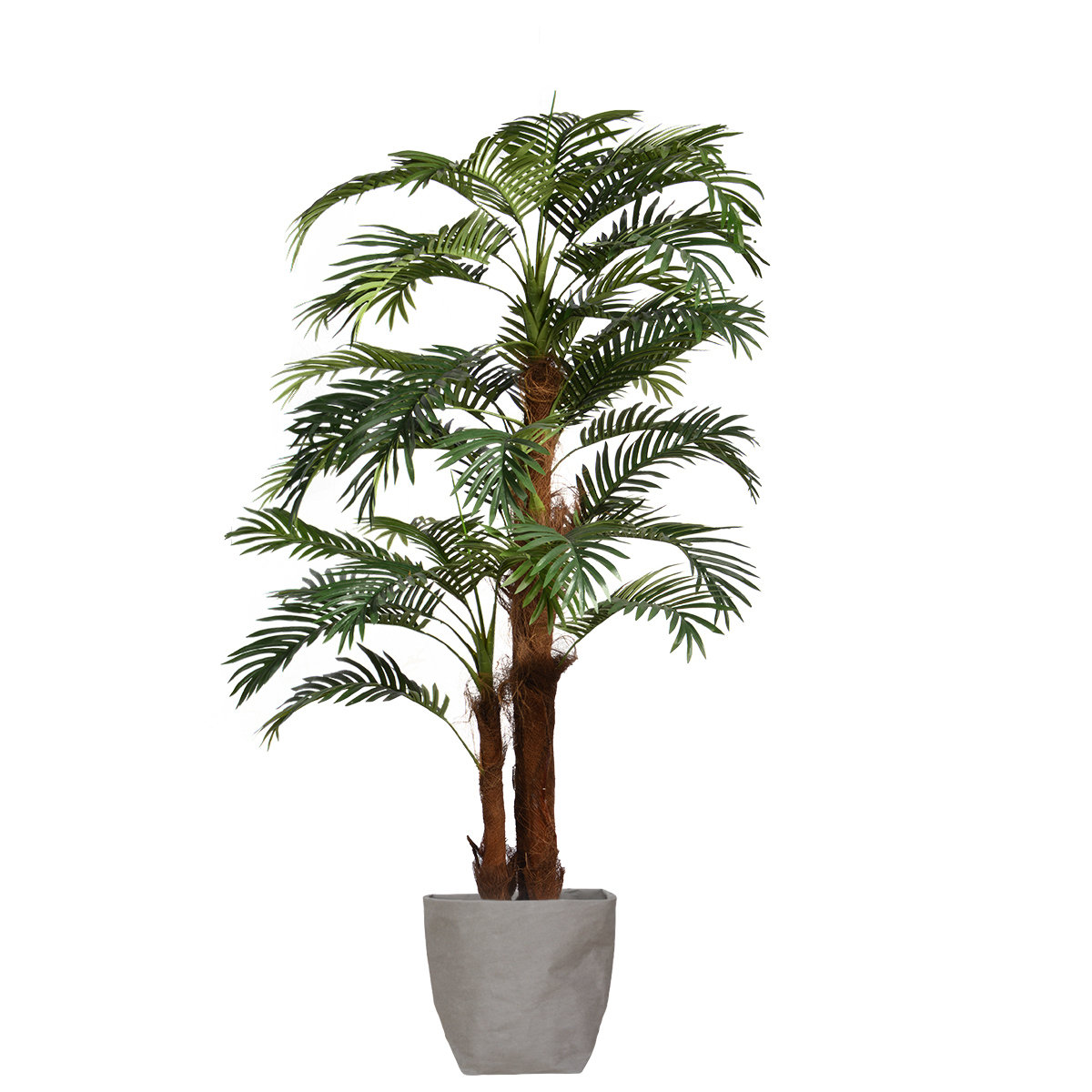 Laura Ashley Panama Faning Floor Palm Tree & Reviews | Wayfair