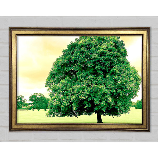 Ebern Designs Green Tree - Print | Wayfair.co.uk