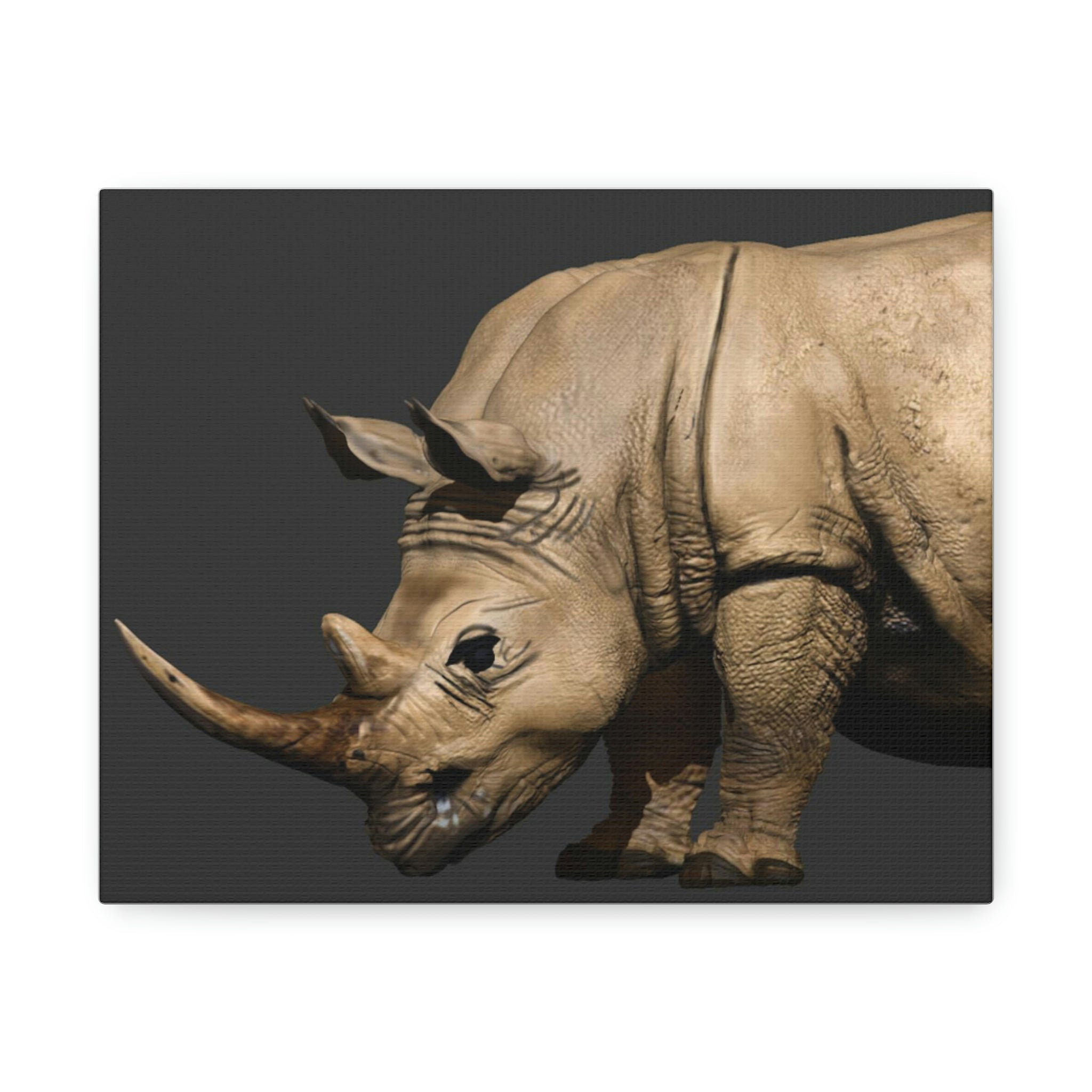 Latitude Run® Rhion Acrylic Print - Wayfair Canada