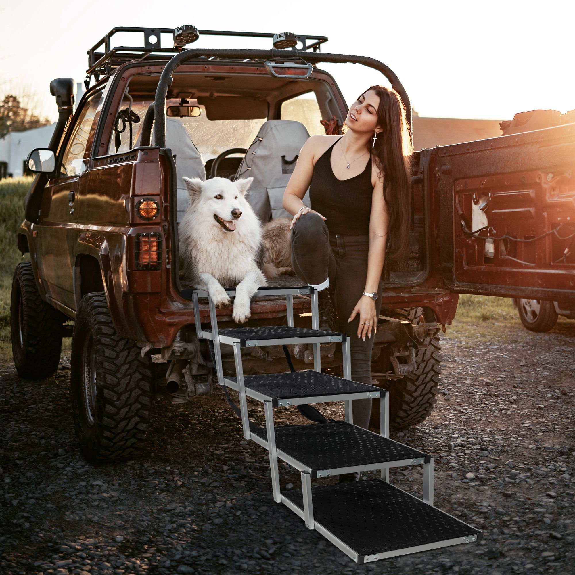 Tucker Murphy Pet™ 5-Step Collapsible Aluminum Alloy Dog Stairs Ladder ...