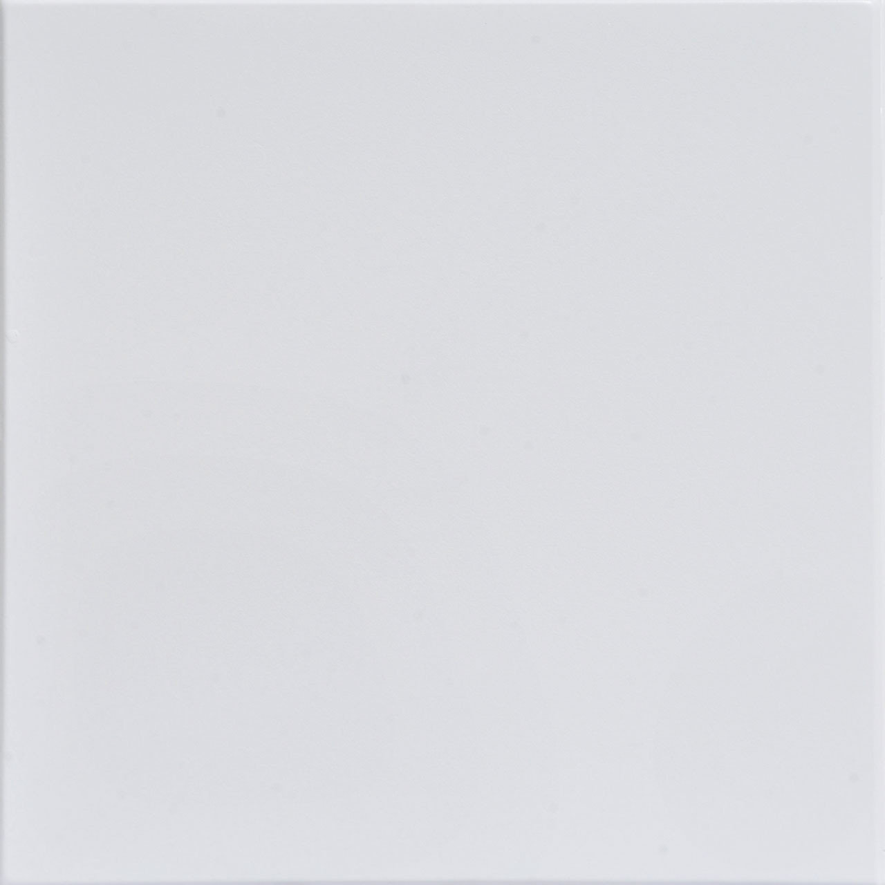 A La Maison Ceilings Basic 1.6 ft. x 1.6 ft. Foam Glue-up Ceiling Tile ...