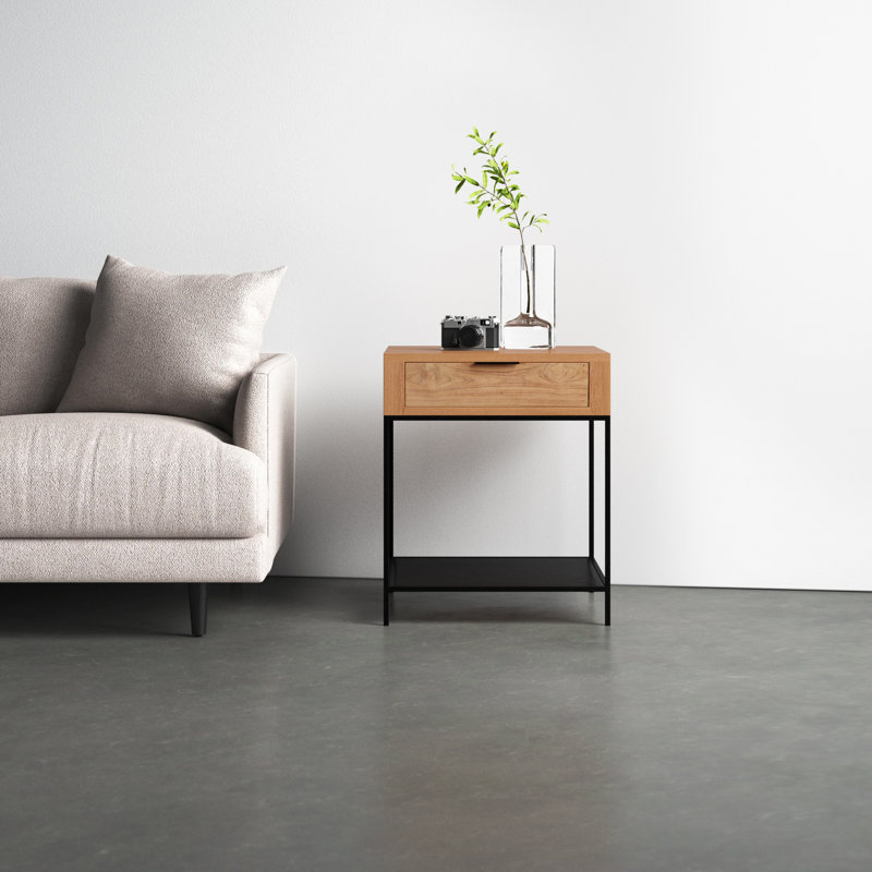 AllModern Theo Solid Wood End Table with Storage & Reviews | AllModern
