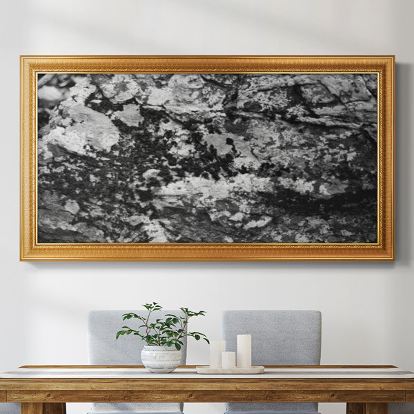 17 Stories Found Textures XX " Found Textures XX " - Wayfair Canada