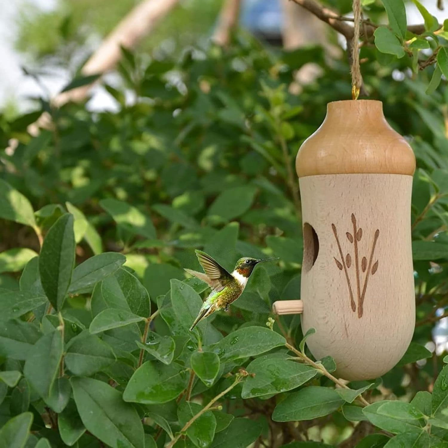 Arlmont & Co. 3-Pack Hummingbird Houses - Wayfair Canada