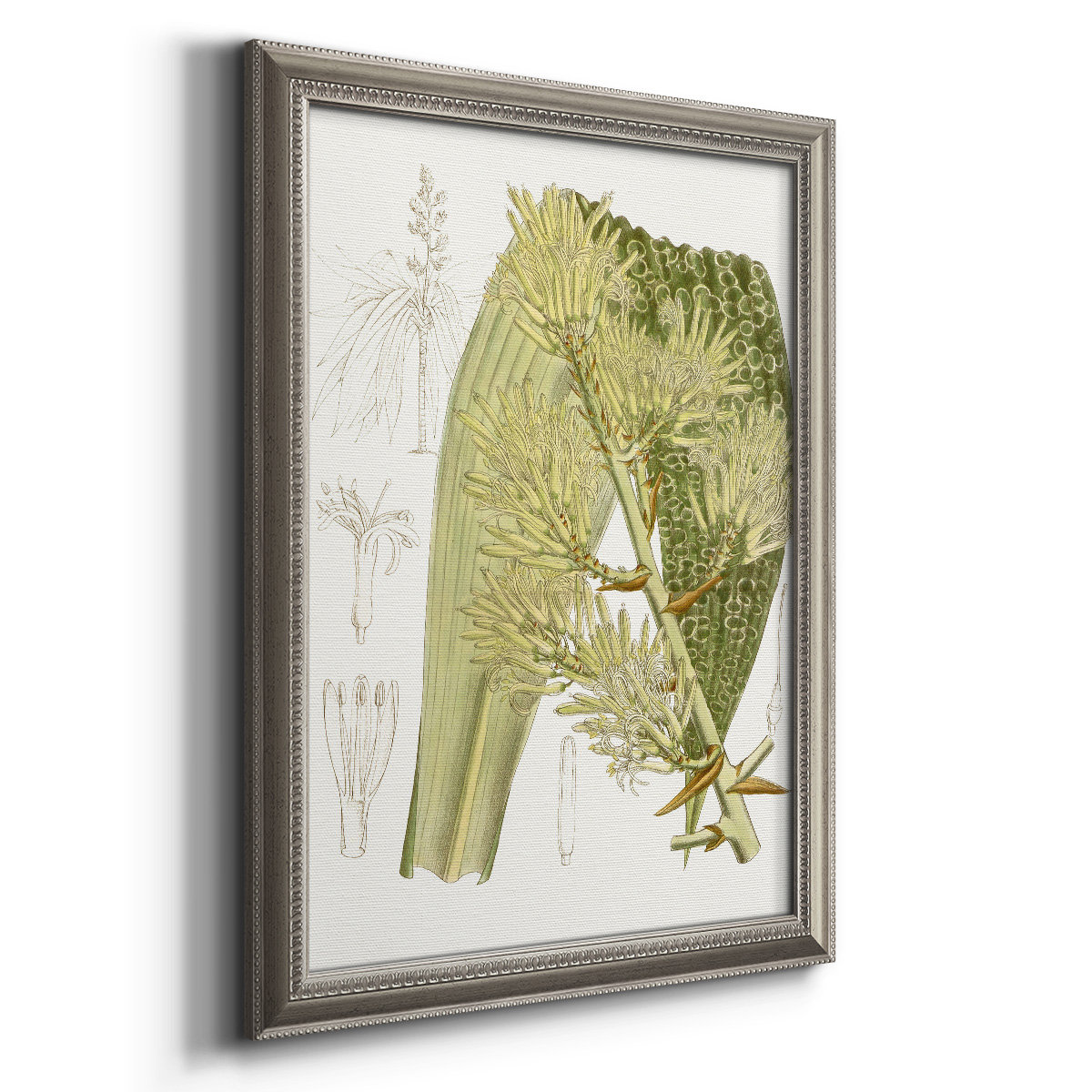Bay Isle Home™ Palm Melange VI Premium Framed Canvas- Ready To Hang ...