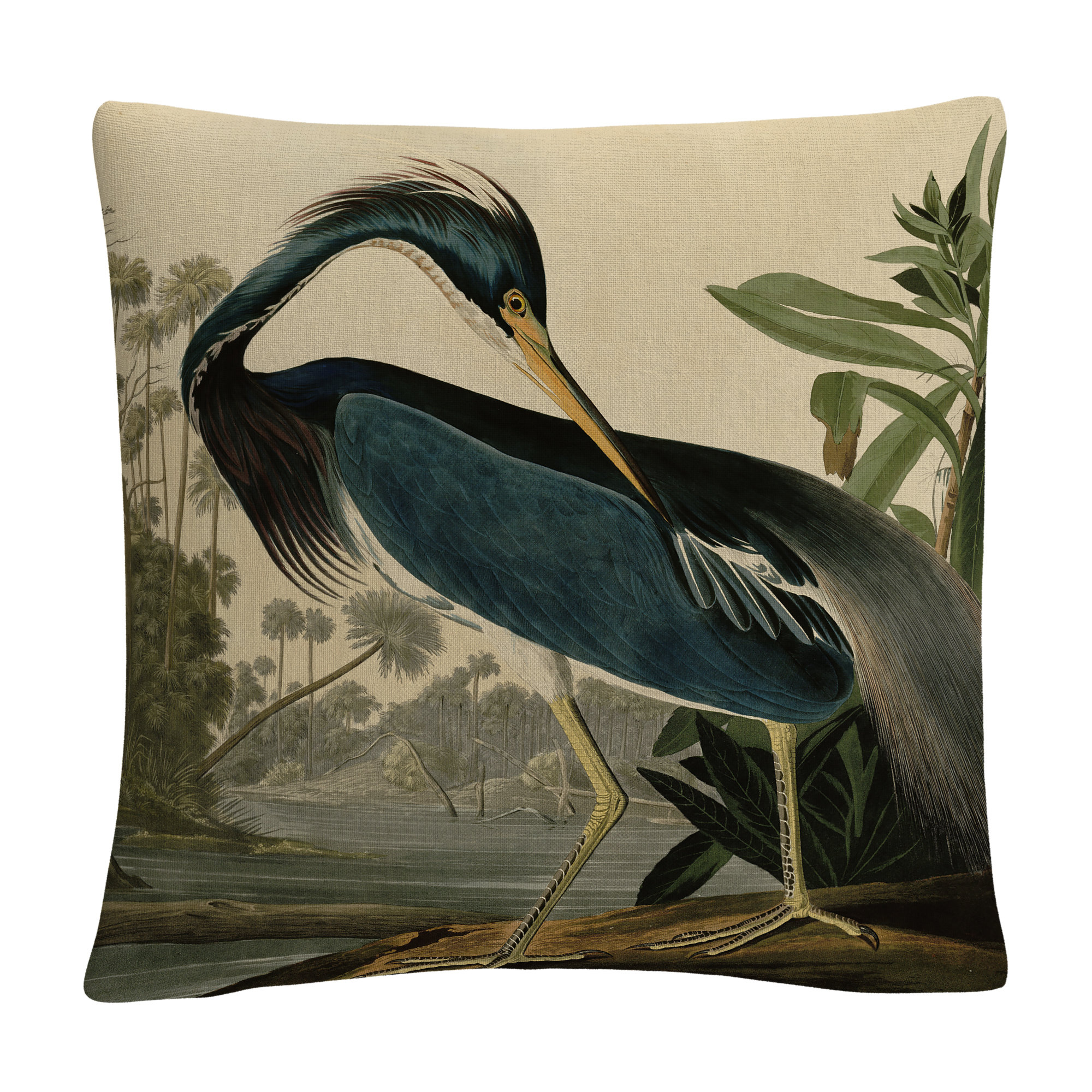 Trademark Fine Art John James Audubon ''Louisiana Heron'' 16 X 16 ...