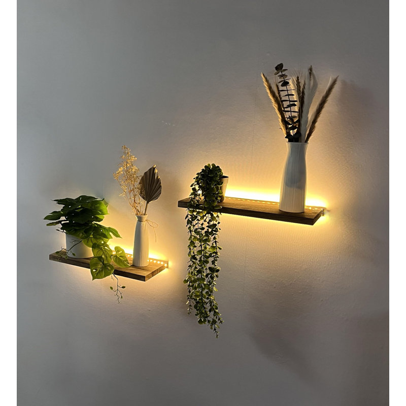 Loon Peak® Floating Shelves with LED Lights | Wayfair