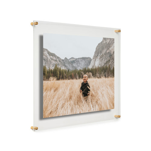 Cool Modern Frames Picture Frame - Set of 2 & Reviews | Wayfair