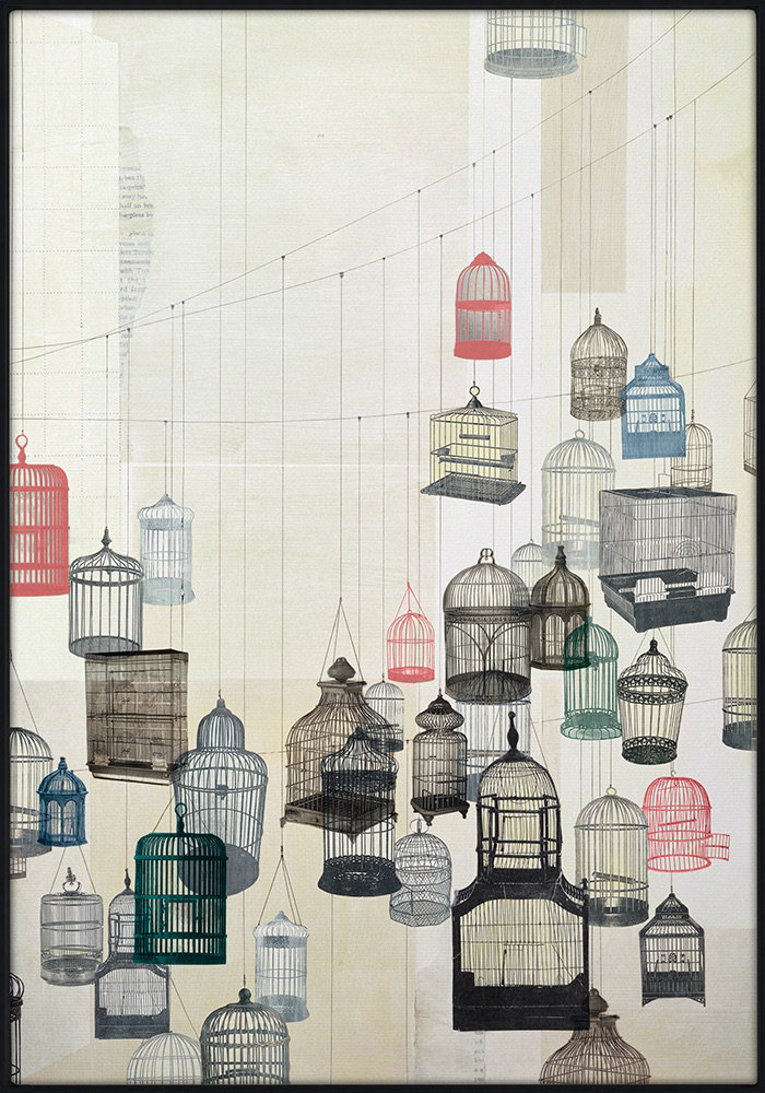 Grand Image Home Birdcages 2 by Natasha Marie - Floater Frame Painting ...