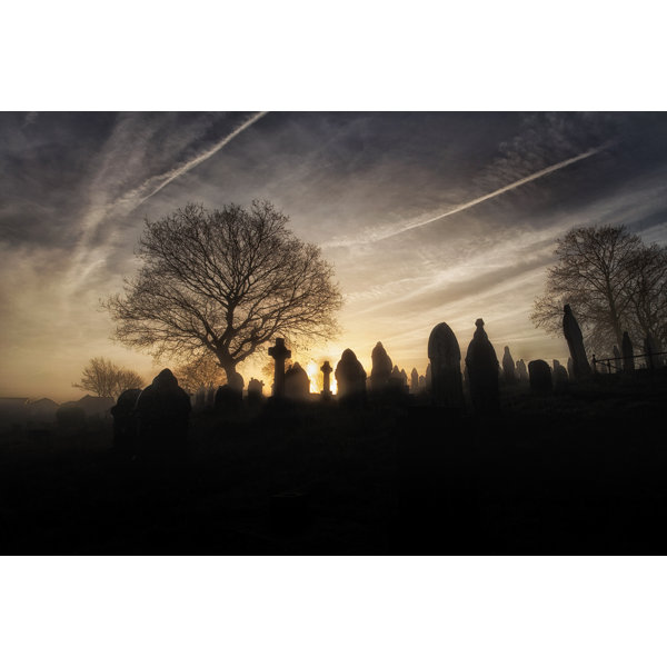 Loon Peak® " Graveyard " by Leighcol | Wayfair
