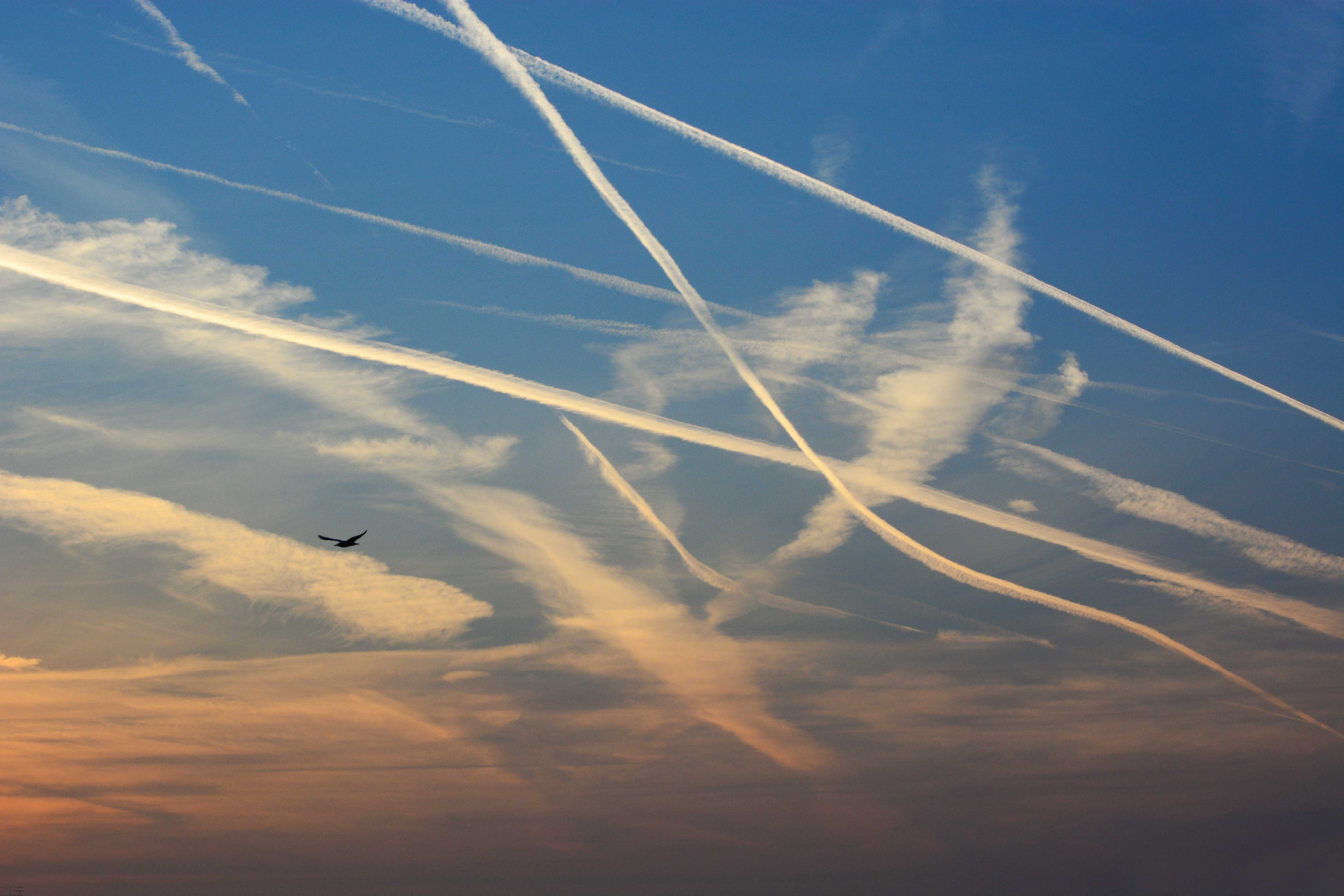 Ebern Designs Areoplane Contrails - Wrapped Canvas Photograph | Wayfair