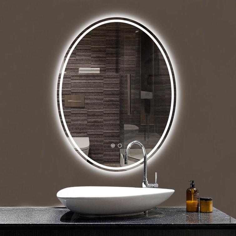 Orren Ellis Adorna Oval Frontlit & Backlit LED Bathroom Vanity Mirror ...