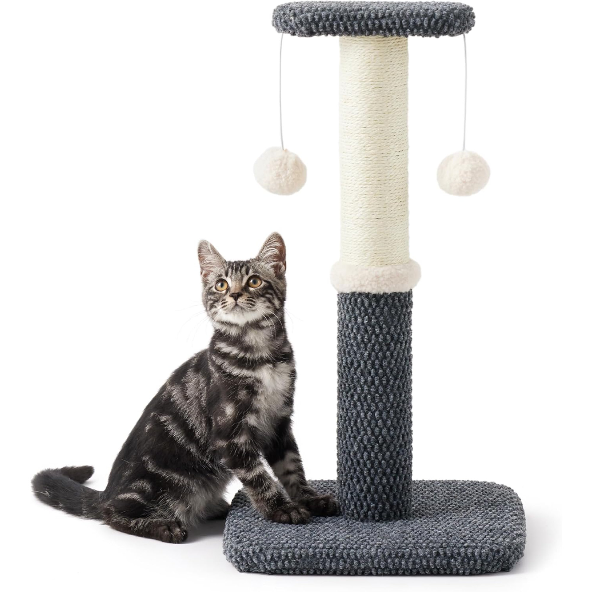 Tucker Murphy Pet™ Tall Cat Scratching Post - Premium Sisal Rope Highly ...
