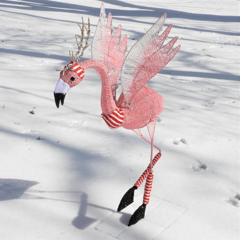 Haute Decor Reindeer Flamingo Lighted Display & Reviews | Wayfair