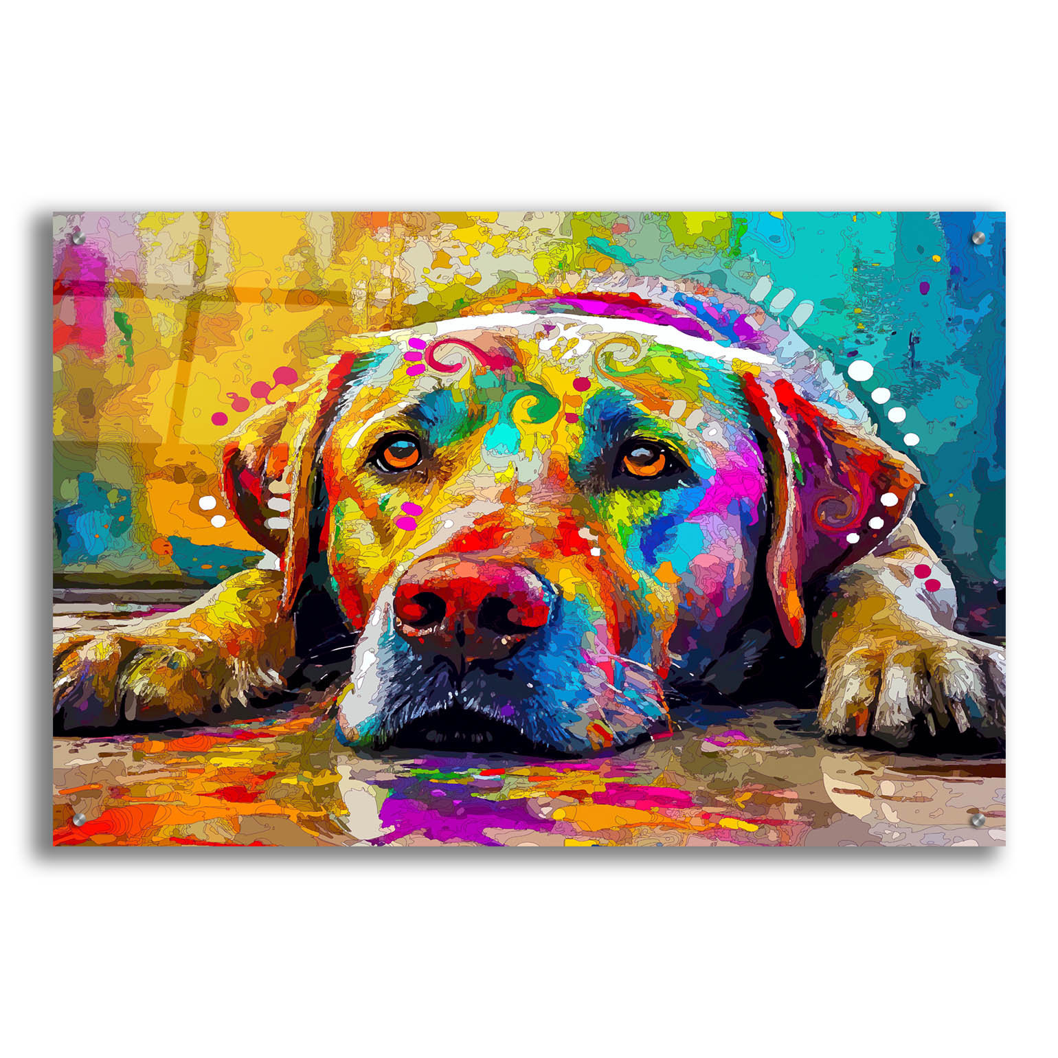 Winston Porter Dean Russo- Evolution Collection-lying Lab' by Dean ...