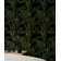 Lark Manor Banana Leaves Wallpaper Bryelle Peel & Stick Tropical Design ...