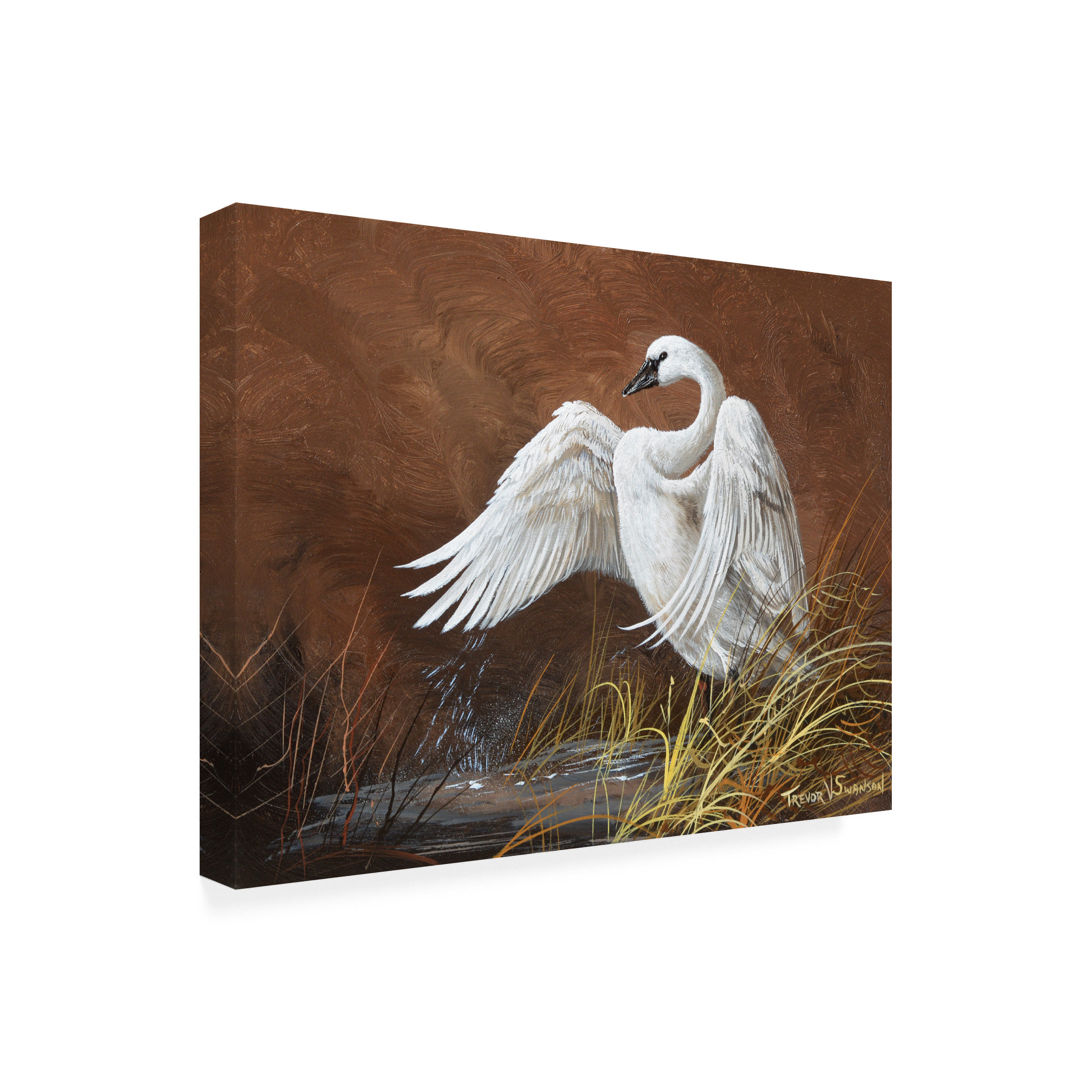 Winston Porter Trevor V. Swanson 'Swan' Canvas Art - Wayfair Canada