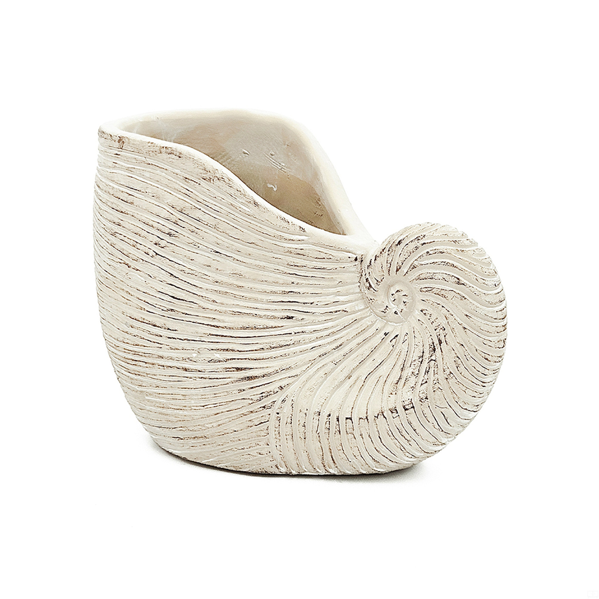 Highland Dunes Sand And Cement Nautilus Shell Planter | Wayfair