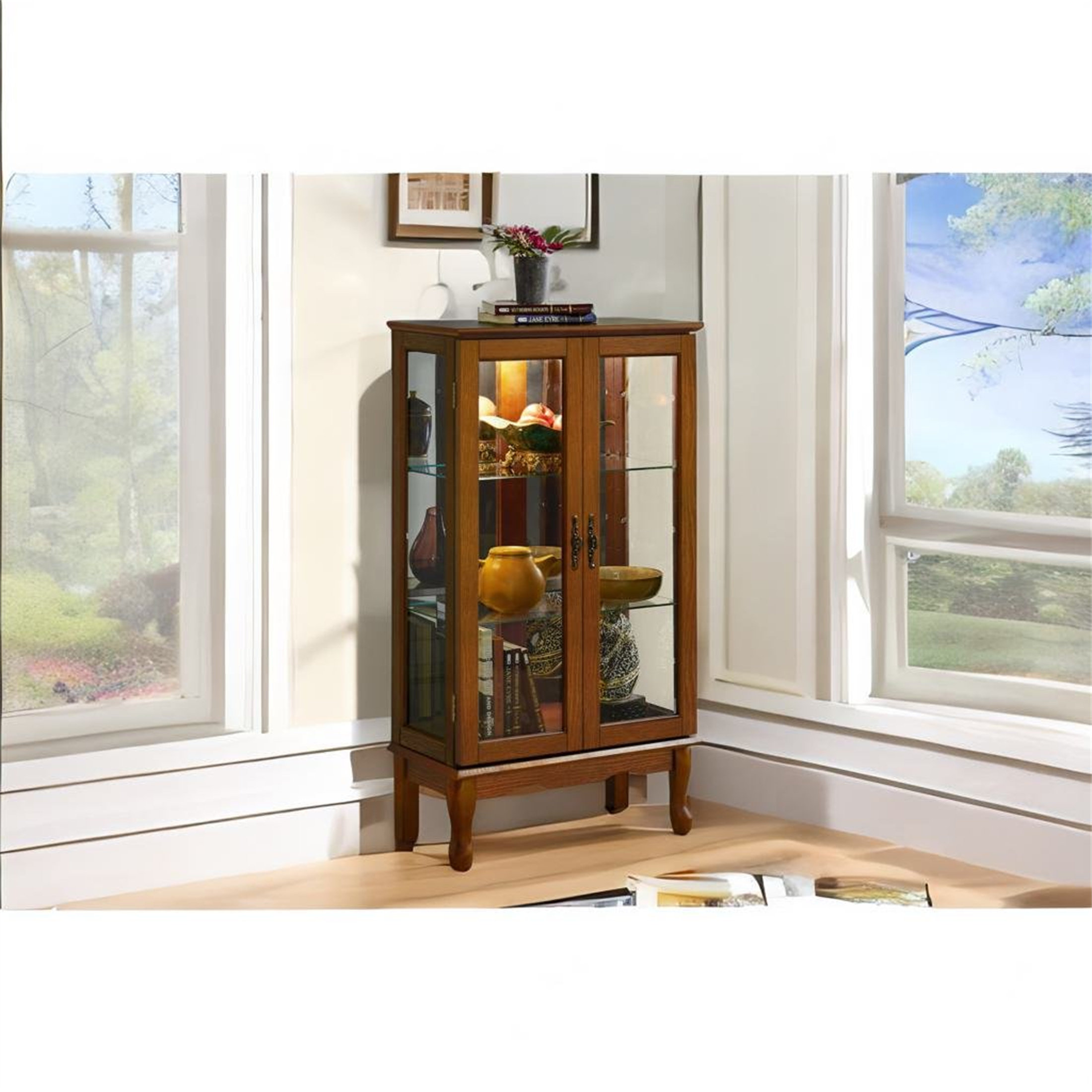 Alcott Hill® Lighted Curio Cabinet | Wayfair