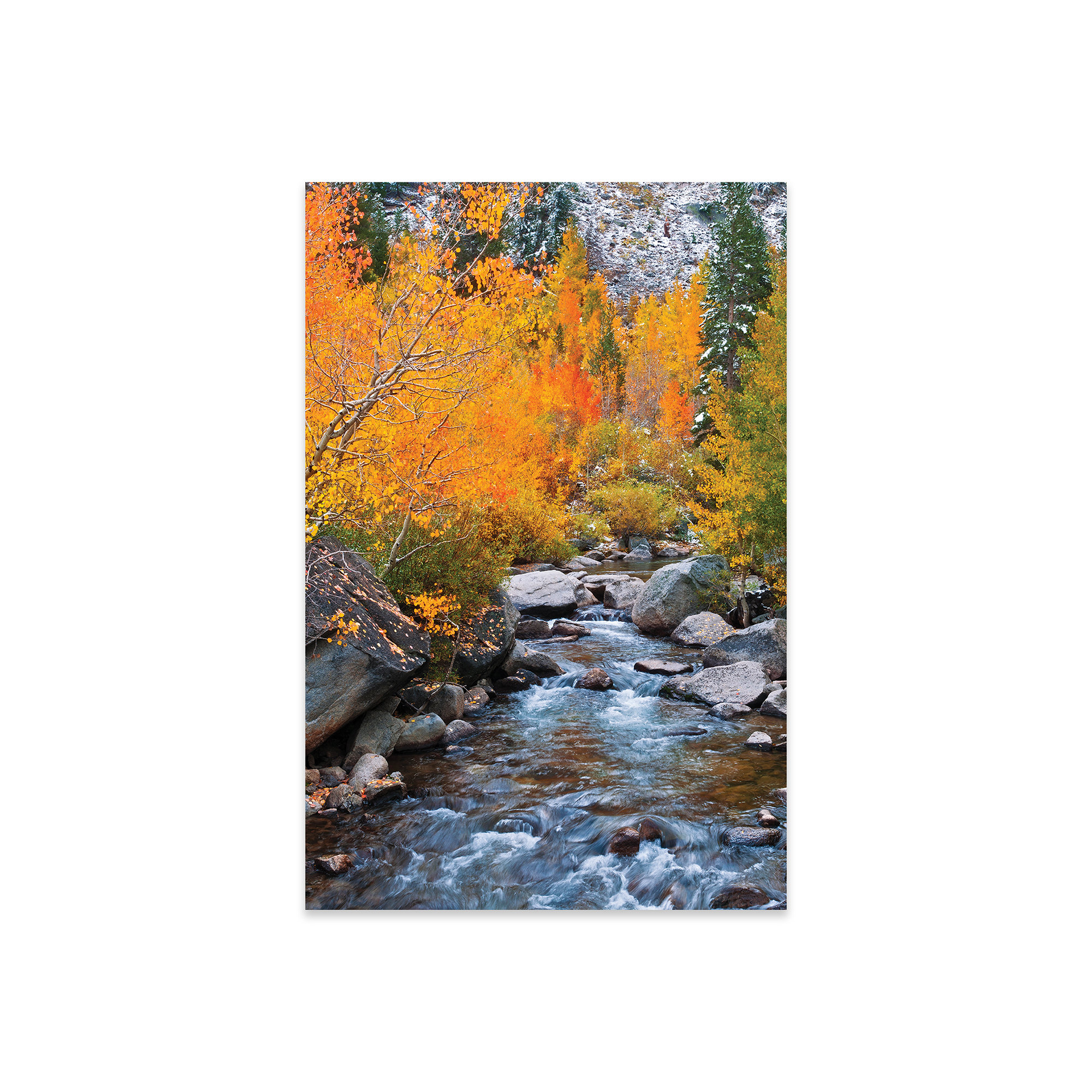 Ebern Designs Fall Colors IV, Bishop Creek, Inyo National Forest ...