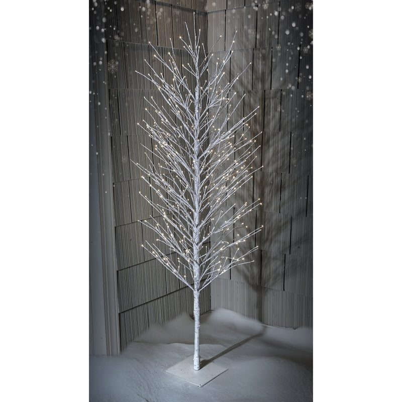Regency International 60" LED Birch Tree with Remote | Wayfair