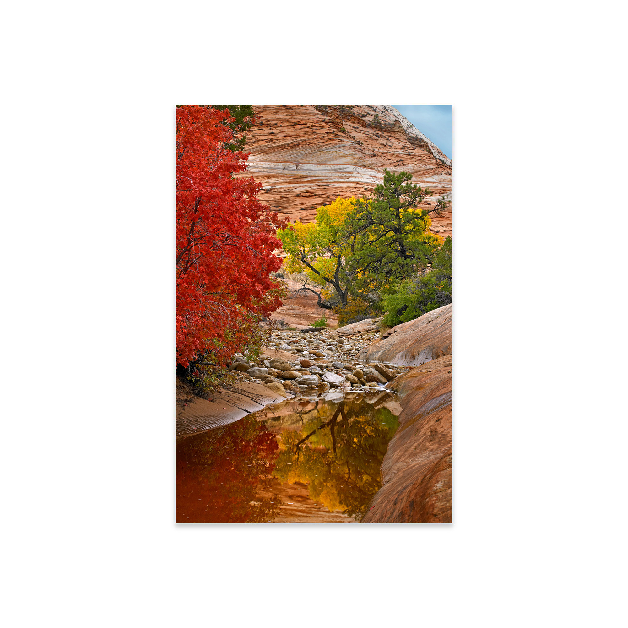 Loon Peak® Maple And Cottonwood Autumn Foliage, Zion National Park ...