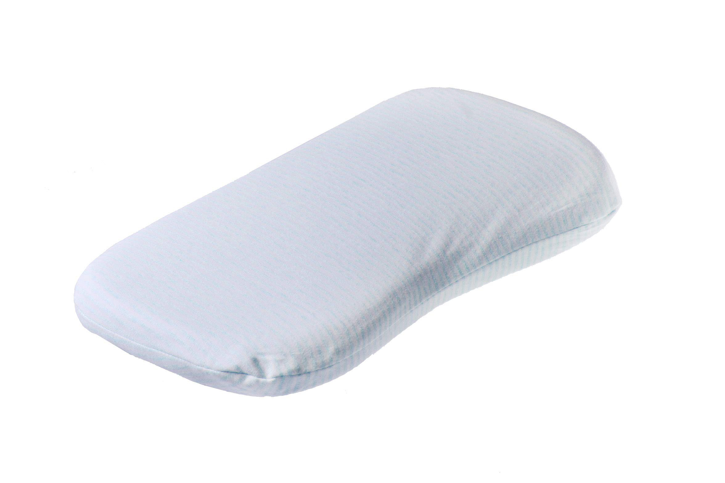 Alwyn Home Bebechoice Baby Memory Foam Plush Support Pillow & Reviews ...