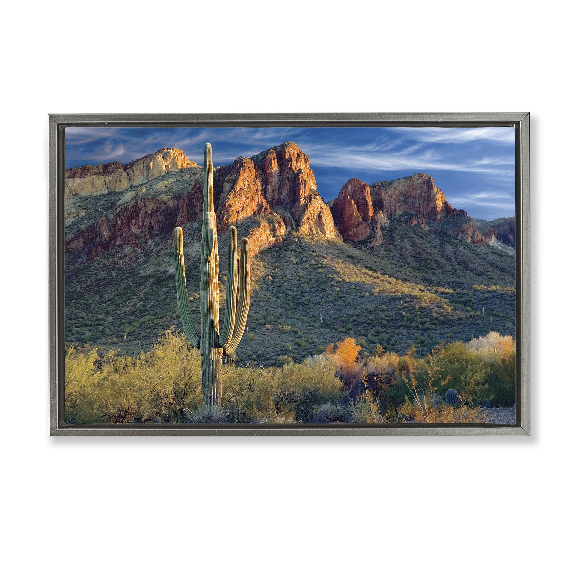 Latitude Run® Found You Cactus in Canyon Floating Frame, design by Mike ...