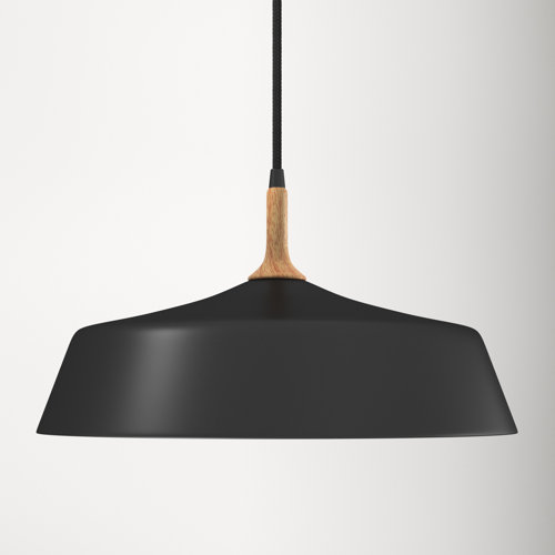 Modern Black Pendant Lighting | AllModern