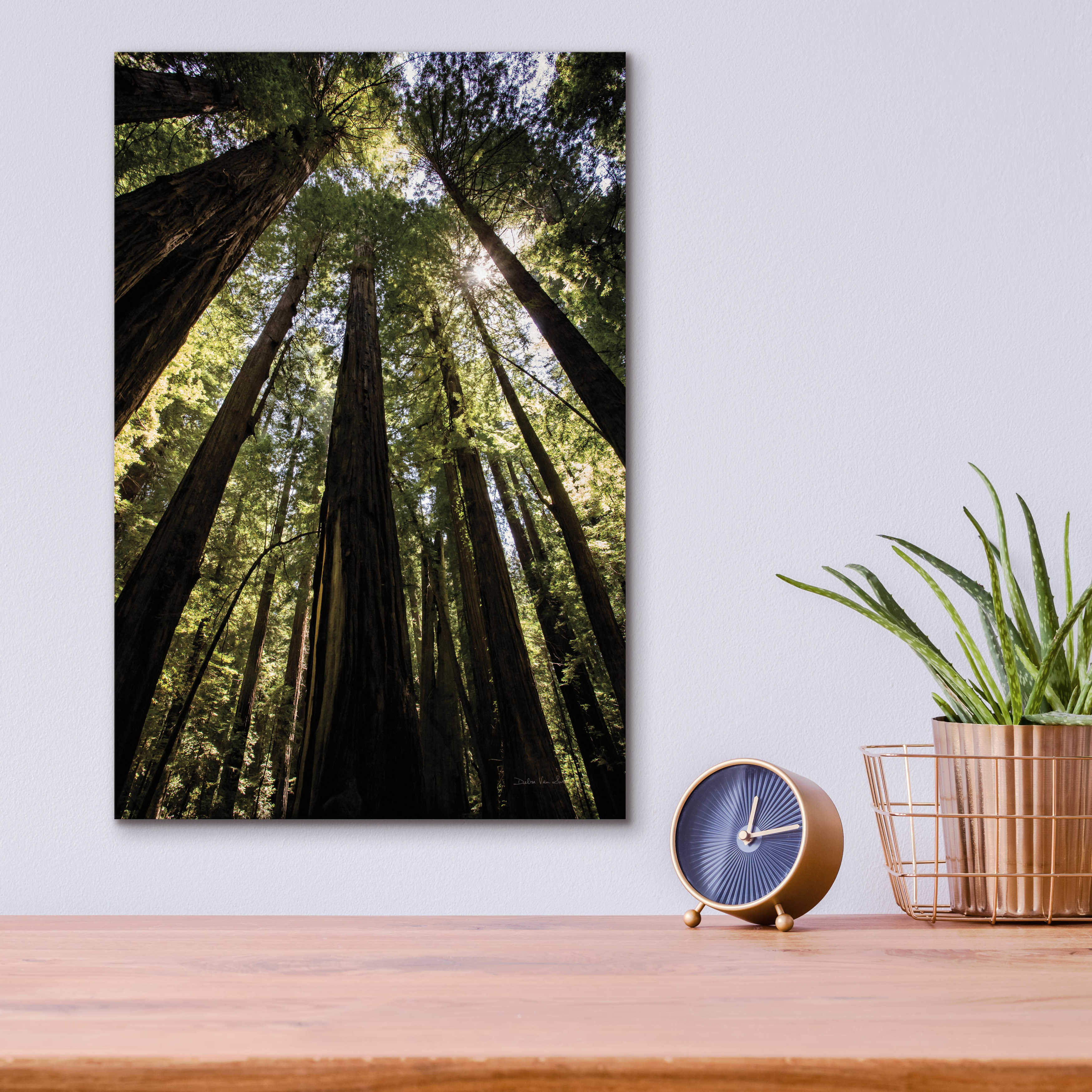 Millwood Pines The Stand by Debra Van Swearingen - Unframed Photograph ...
