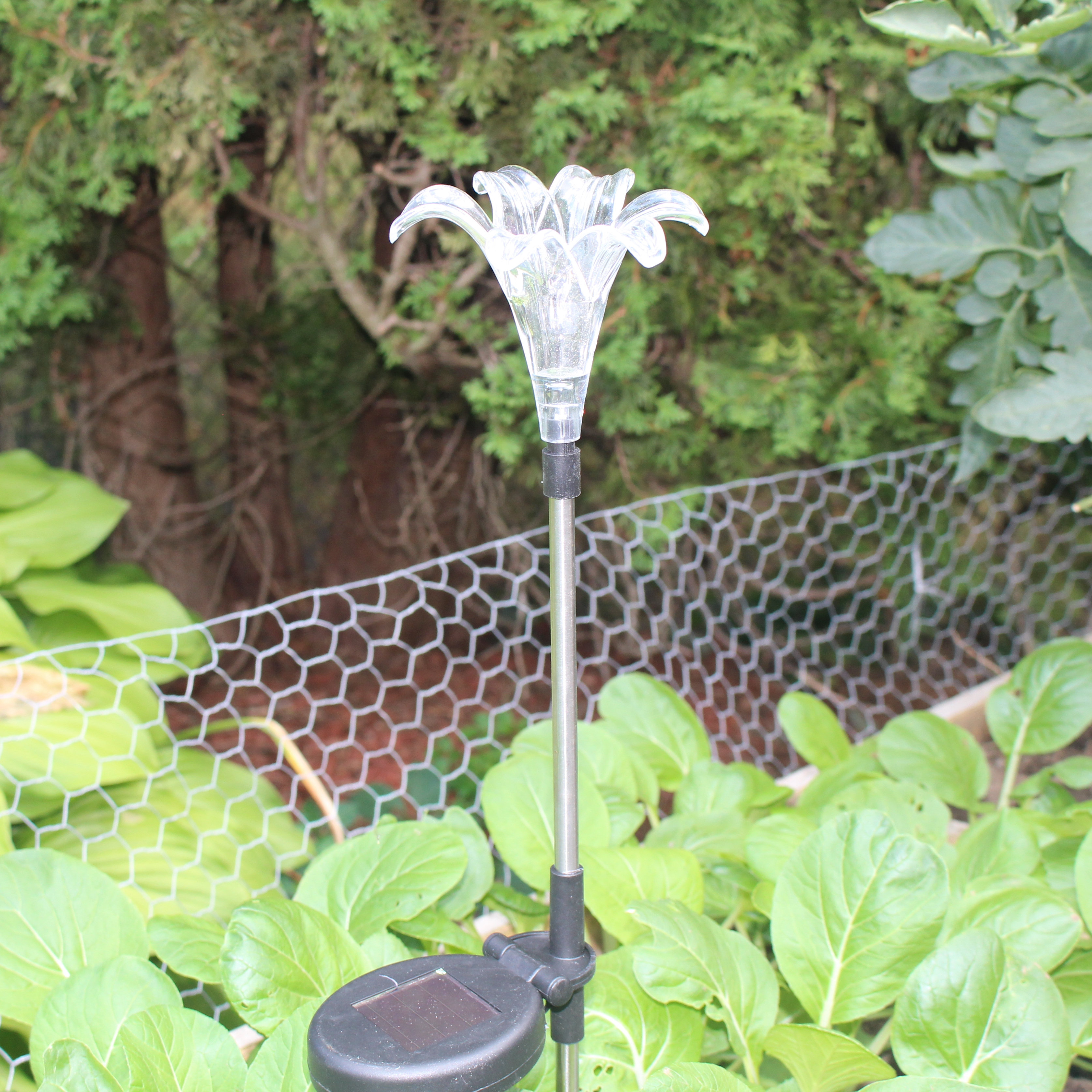 Amples Plastic/Metal Solar Powered Pathway Light | Wayfair
