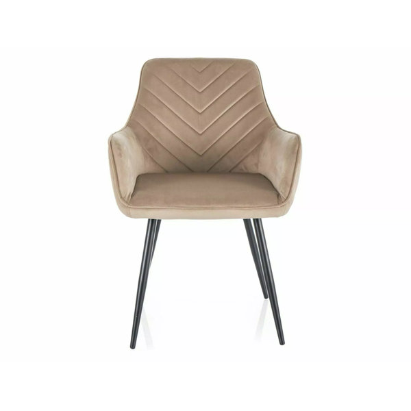 Brayden Studio Banjeet 47cm H Bluvel Upholstered Metal Dinning Chair ...