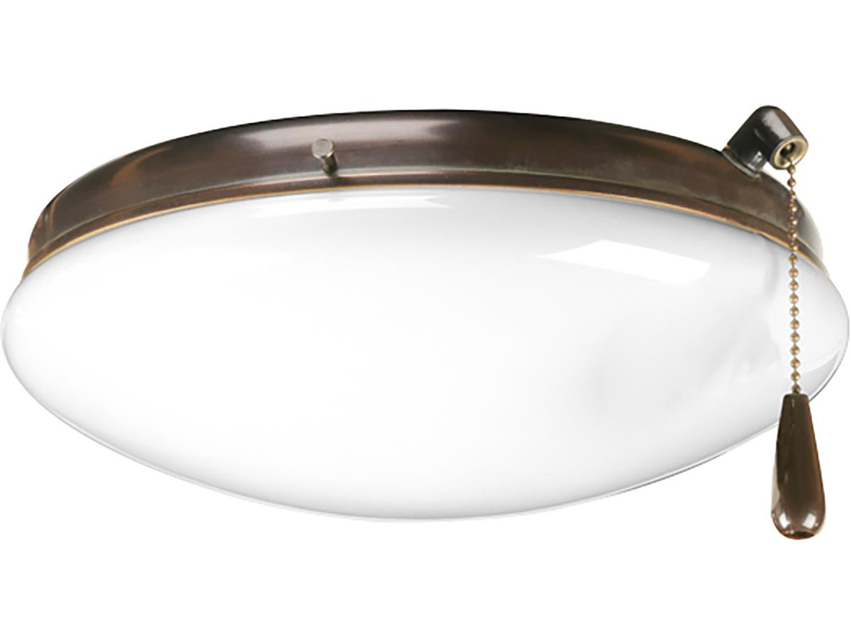 Wrought Studio™ 2-Light Universal Ceiling Fan Bowl Light Kit & Reviews ...