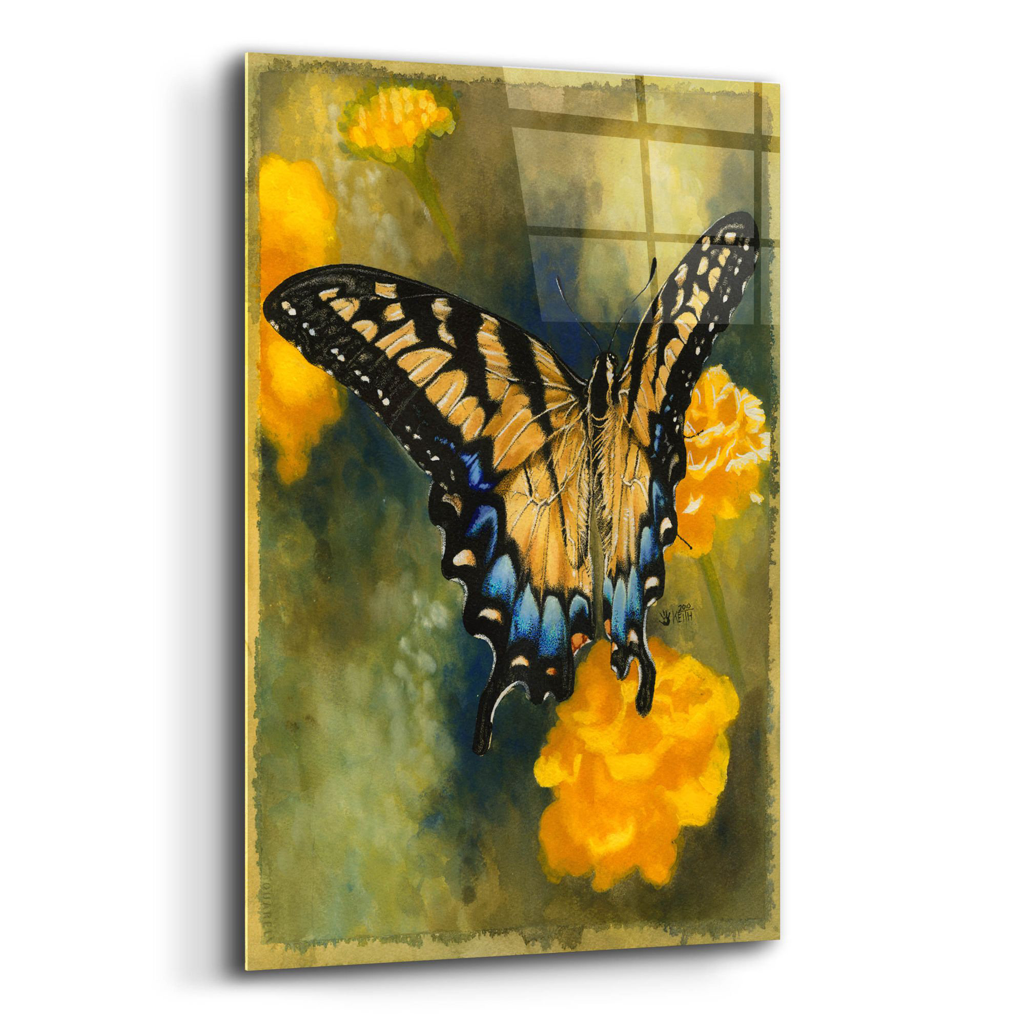 August Grove® 'Delicate Belle' By Barbara Keith, Acrylic Glass Wall Art ...