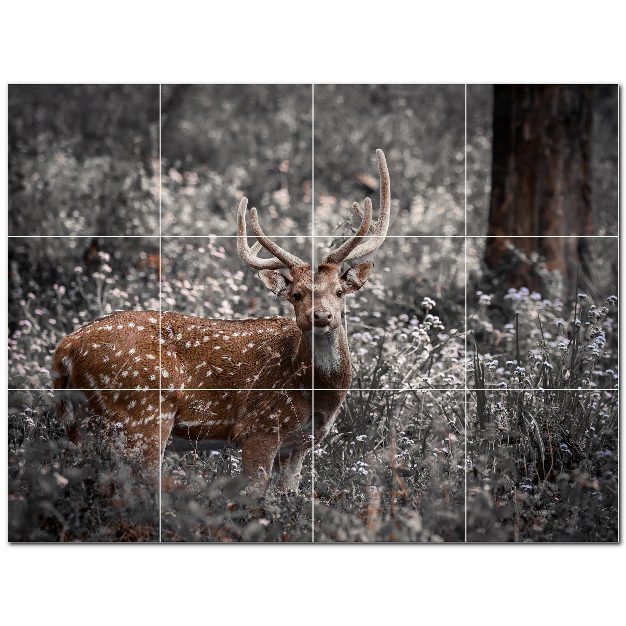Picture-Tiles.com 32" x 24" Ceramic Deer Photo Decorative Mural Tile ...