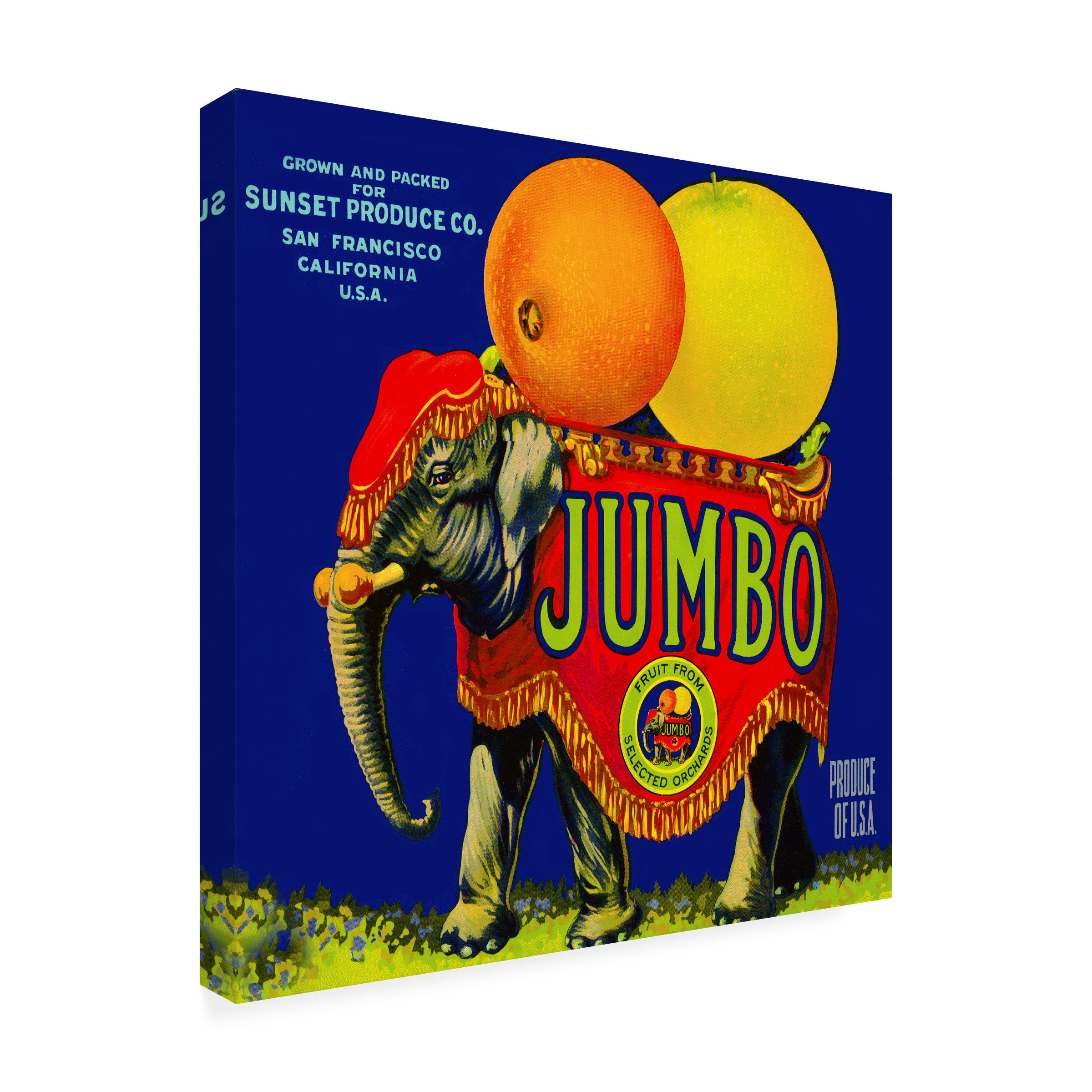 Trinx Jumbo Orange And Grapefruit On Canvas by Print Collection Print ...