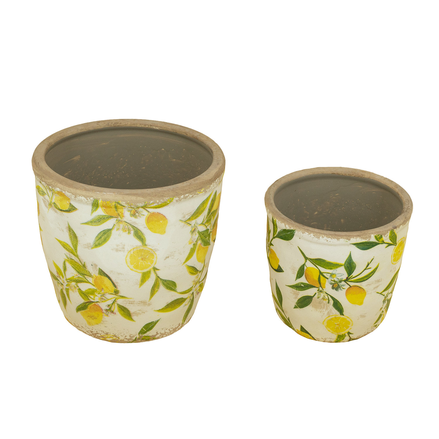 Rosalind Wheeler Matching Ceramic Planters with Yellow Lemon Motif ...