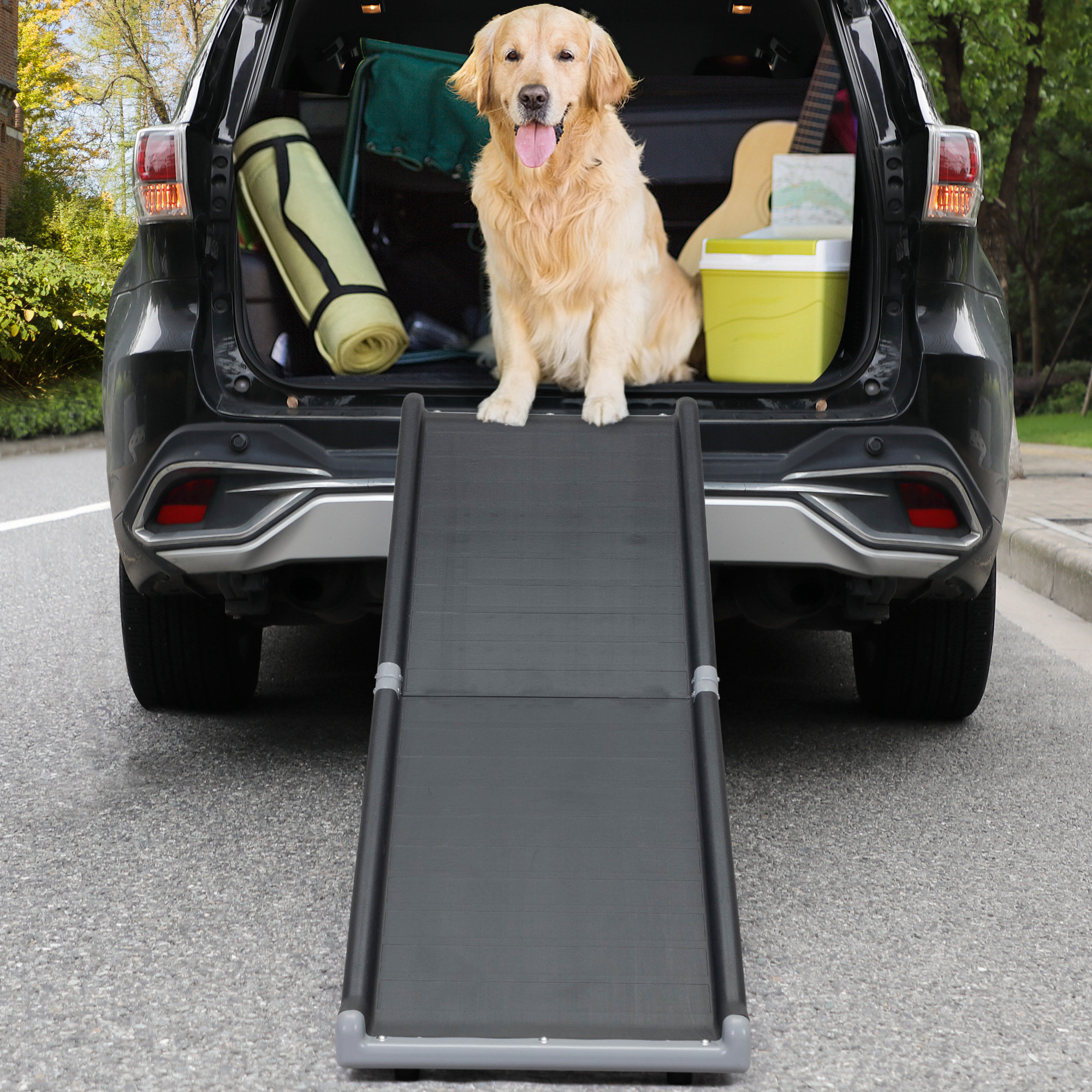 Tucker Murphy Pet™ Folding Safety Dog Ramp & Reviews | Wayfair