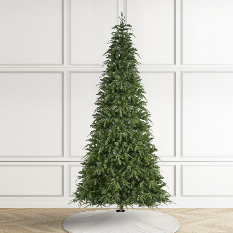 evergreen slim tree