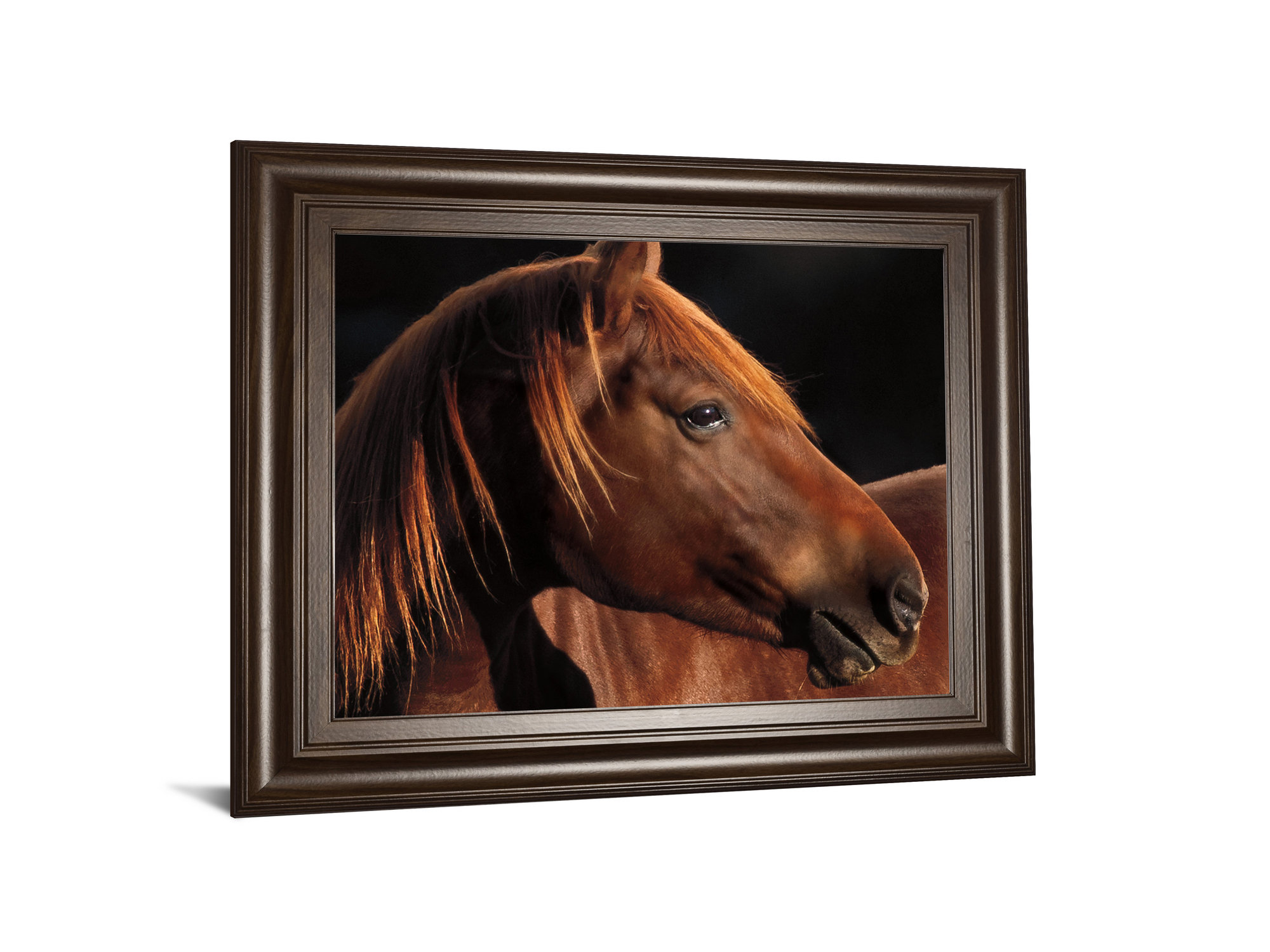 Charlton Home® Chestnut Majesty Wall Art - 22" x 26" - Cinnamon Mocha ...
