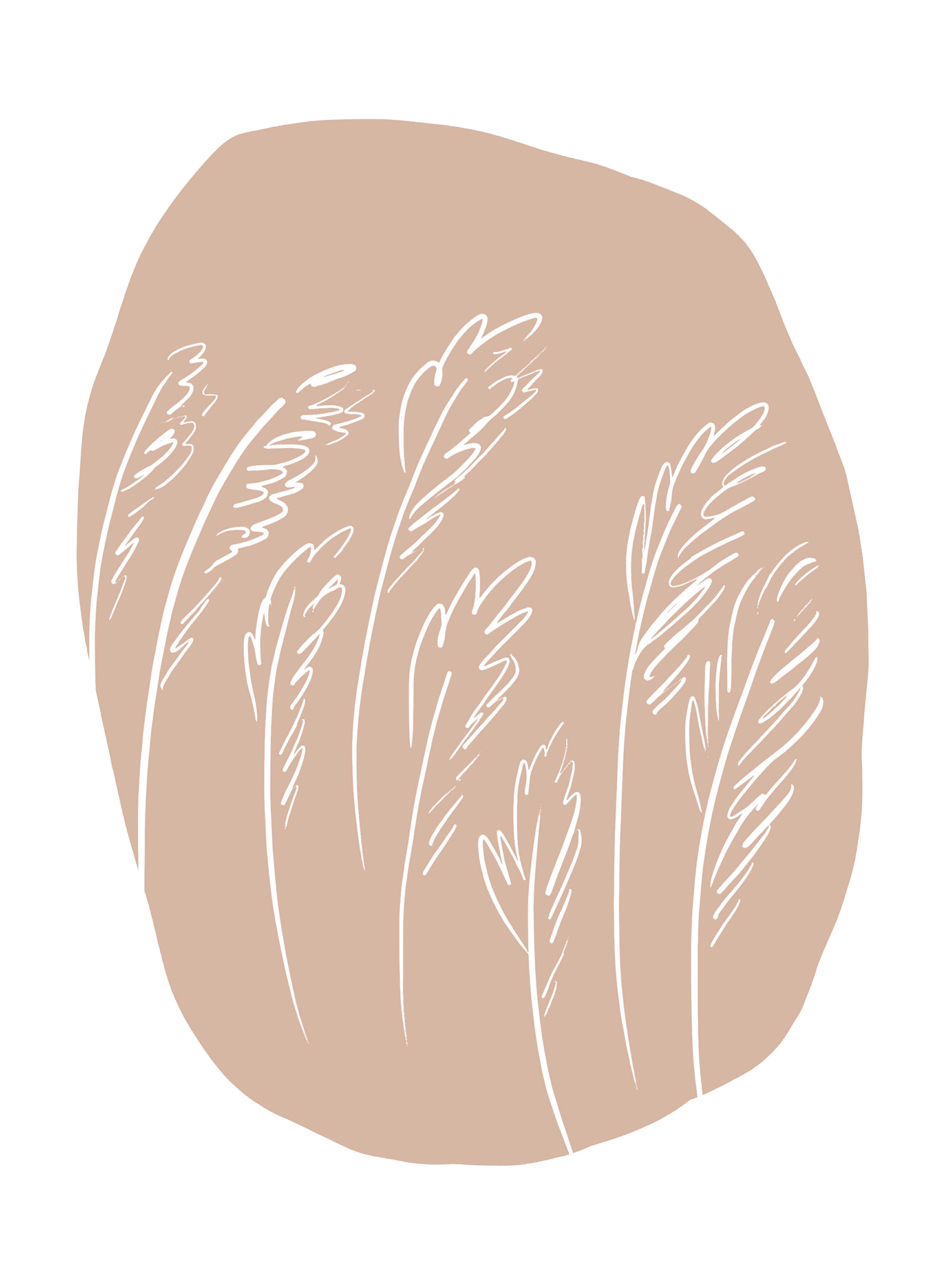 Wildon Home® Simple Pampas Grass Drawing - Wayfair Canada